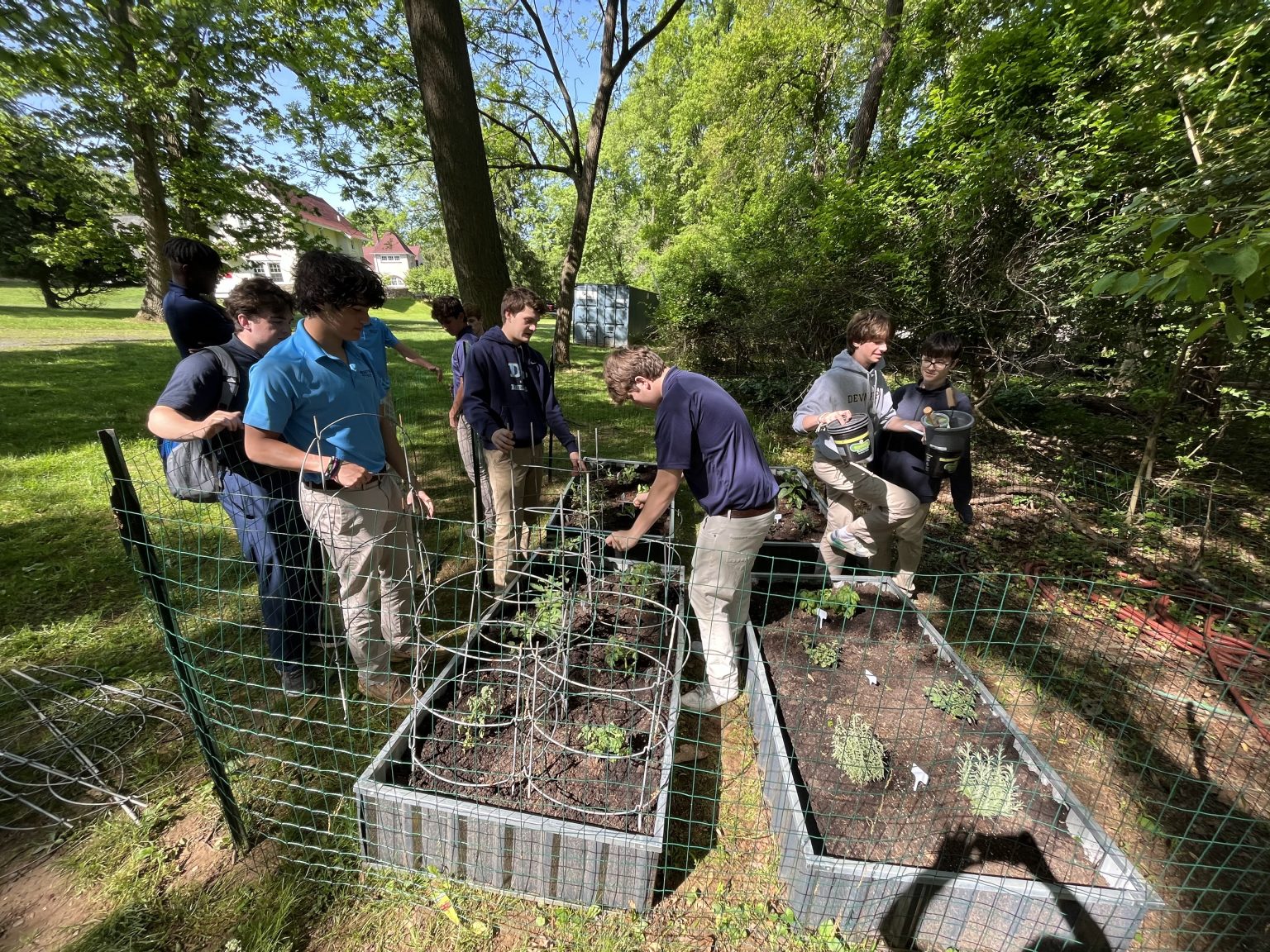 Sustainability at Devon Prep - Devon Preparatory School
